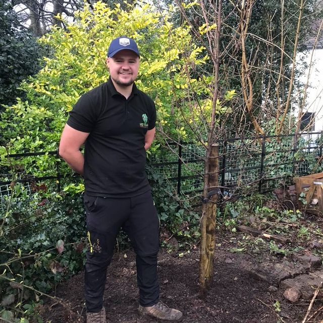 Tree Surgeon Bolton - Heywood Tree Services